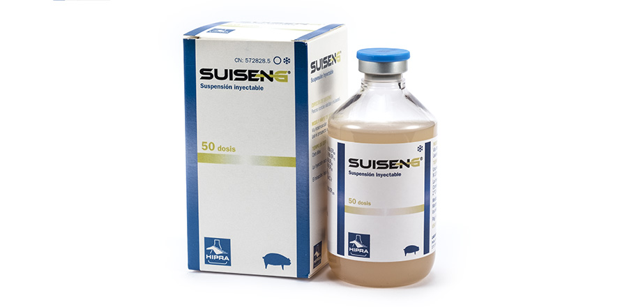 Suiseng – El Roble